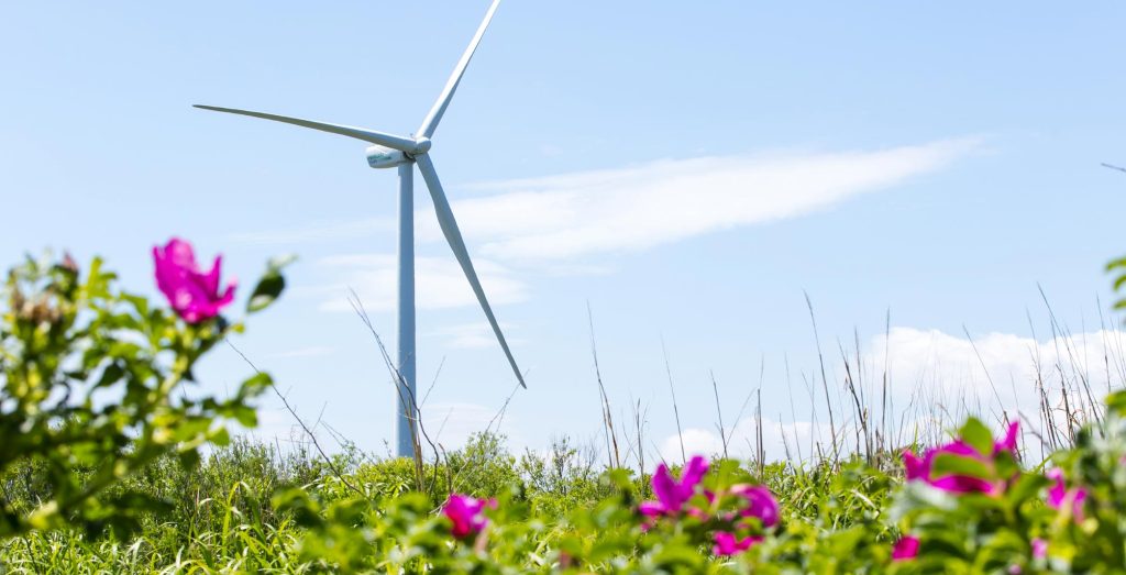 かなみちゃん | 市民風力発電 - Community Wind Power